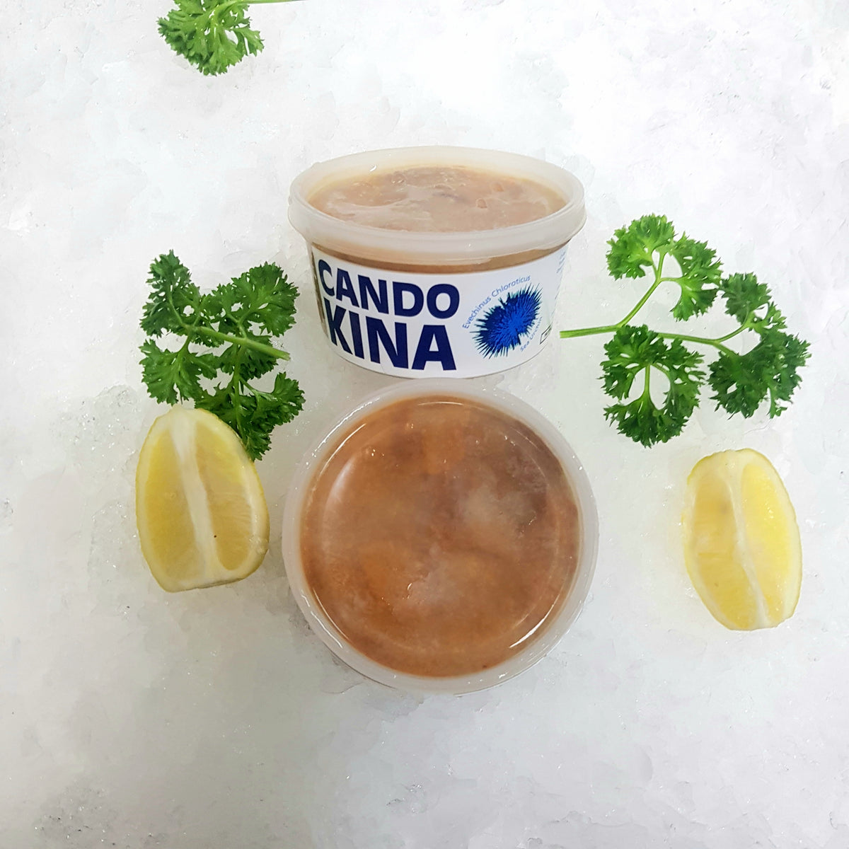 Frozen South Island Kina pots – Takanini Fish Mart